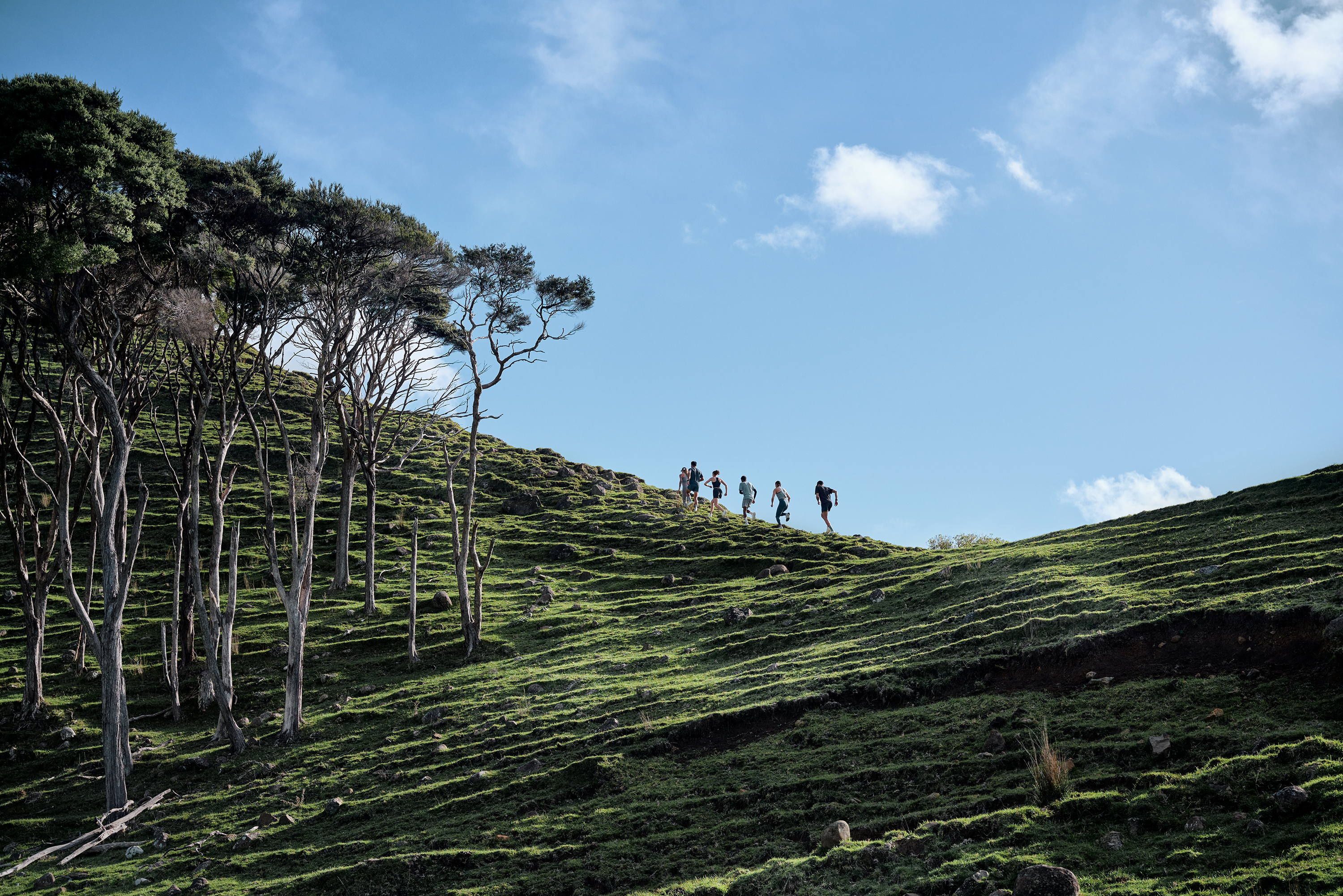 Allbirds new Natural Run Apparel